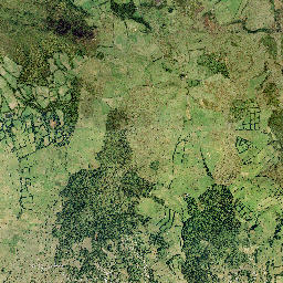 ArcGIS Web Application